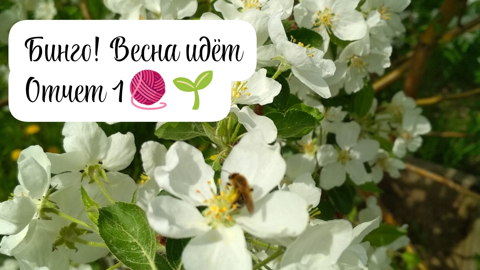 Бинго! Весна идёт. Вязальная активность. Отчет 1. 🧶🌱