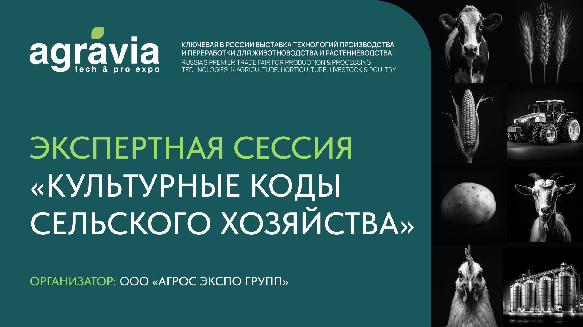 Экспертная сессия «КУЛЬТУРНЫЕ КОДЫ СЕЛЬСКОГО ХОЗЯЙСТВА»