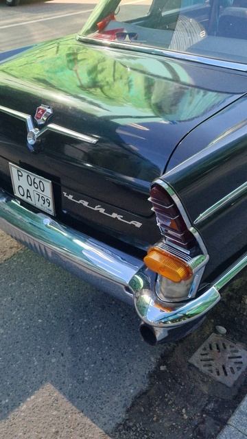 Чайки на историческом ралли на Кубок Москвы