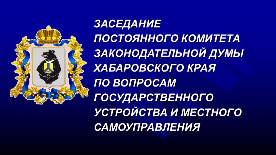 Заседание постоянного комитета Думы по вопросам государственного устройства и МСУ 04.03.2026