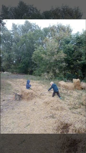 5 Григорьева Ольга