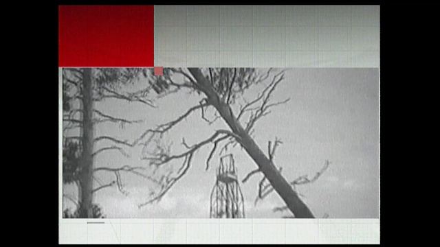 Белые пятна черной нефти 8 серия 2008