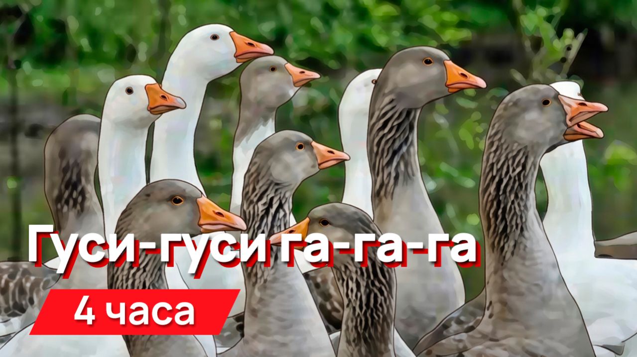 Звуки для соседей - гуси-гуси га-га-га