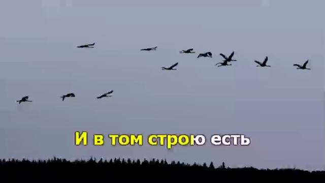 Журавли_Любимые_песни_Караоке