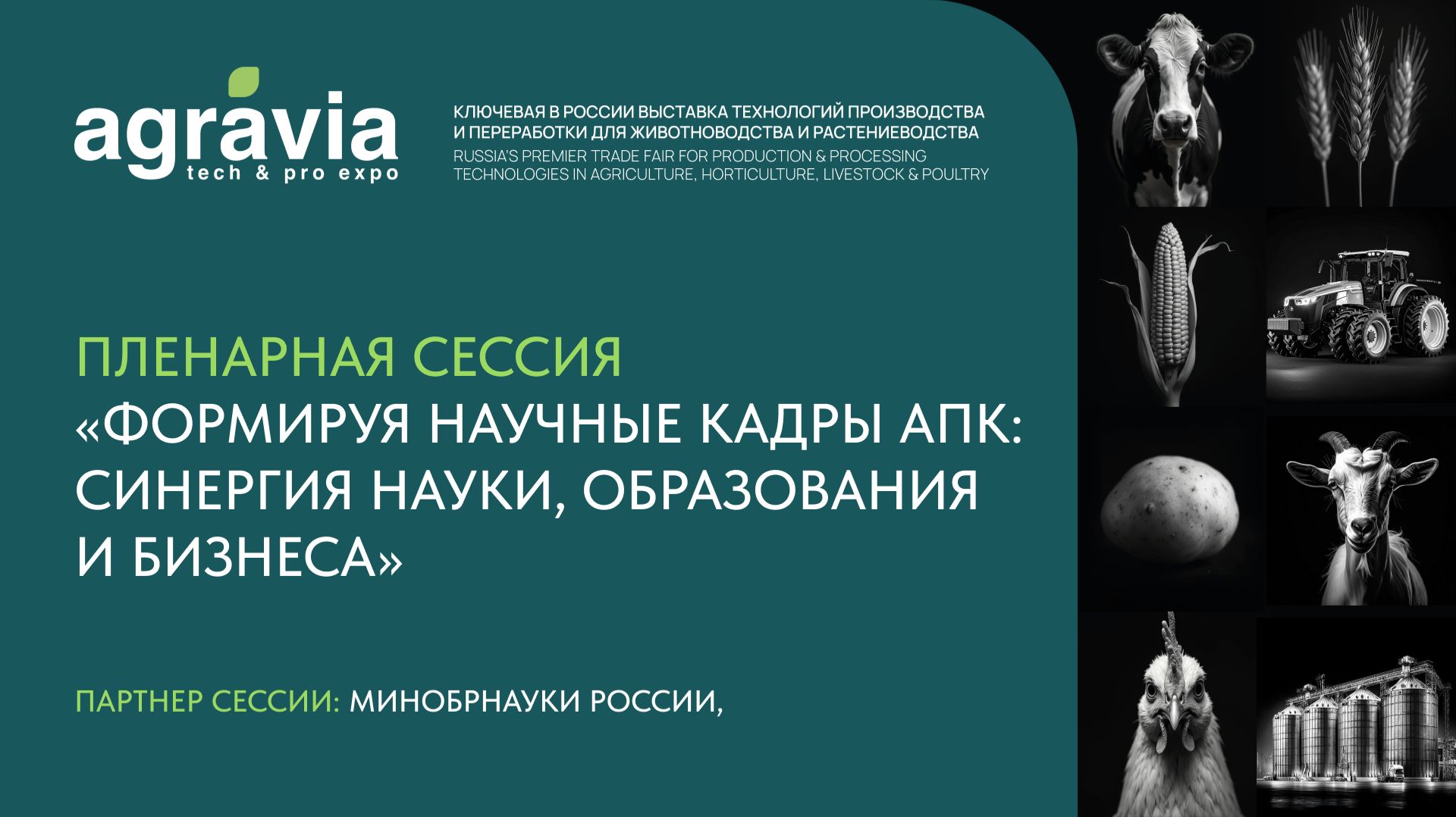Пленарная сессия «ФОРМИРУЯ НАУЧНЫЕ КАДРЫ АПК: СИНЕРГИЯ НАУКИ, ОБРАЗОВАНИЯ и БИЗНЕСА»