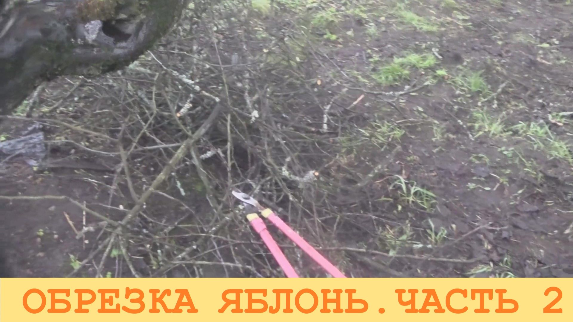 2025 Декабрь. Исполнение давней задумки. Часть 2