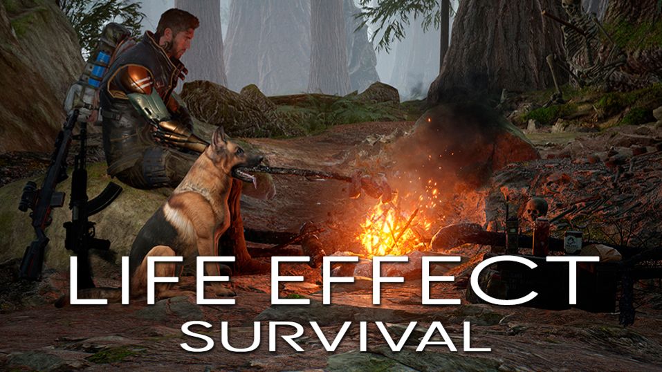 LIFE EFFECT - о будущем проекта "ВАЖНО" / About the future of the project  "WARNING"