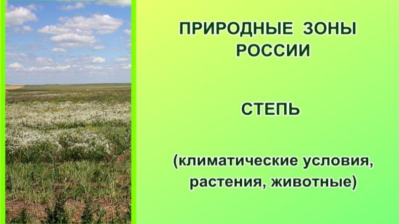 Природные зоны России. Степь (климат, растения, животные)