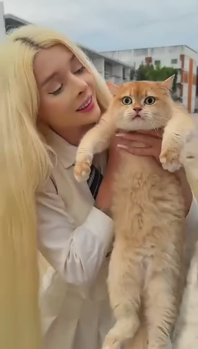 Она приютила бездомную кошку🥹 #кошка #кошки