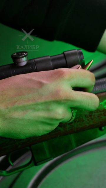 Мосина АСМР