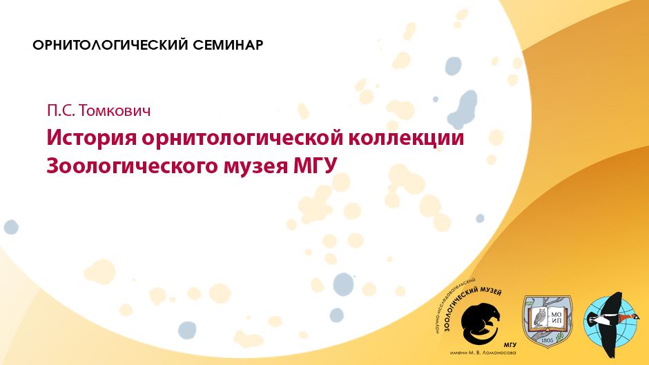 № 900. П.С. Томкович. История орнитологической коллекции Зоологического музея МГУ