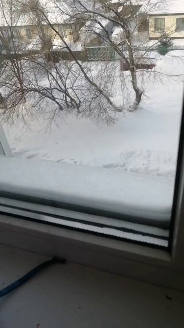 И это называется ВЕСНА?!