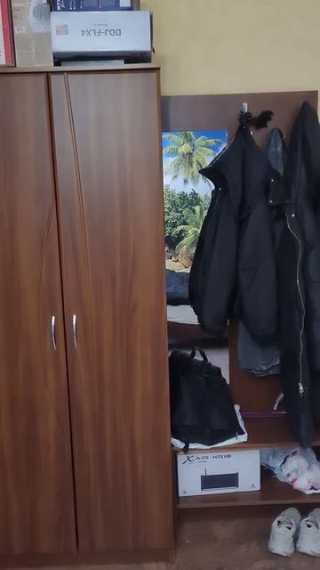 Сколько стоит жилье в Сочи Зимой 2026?