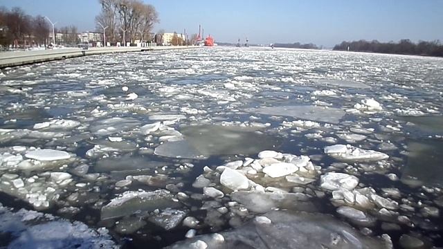 ЛЕБЕДИ В ЗАЛИВЕ