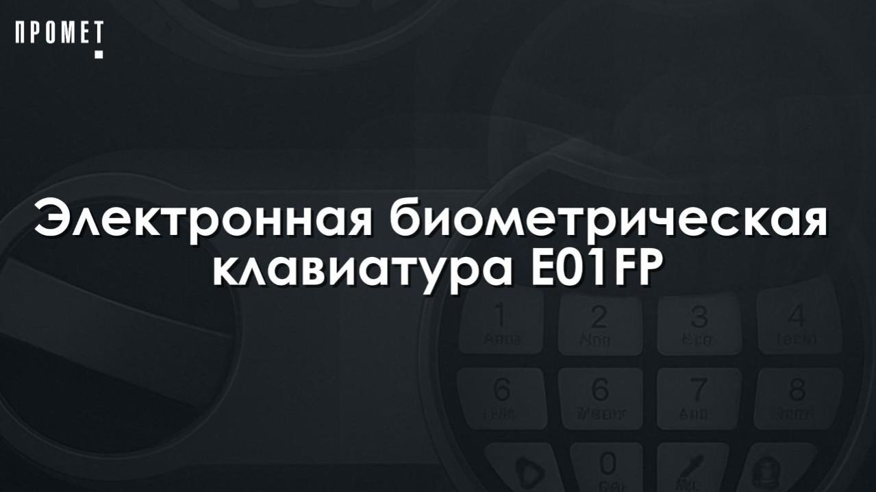 Электронная биометрическая клавиатура E01FP