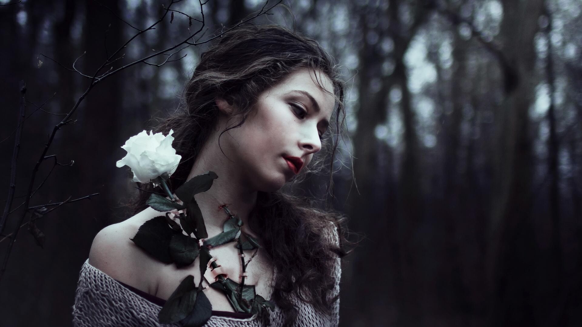 Wounded Heart - AShamaluevMusic