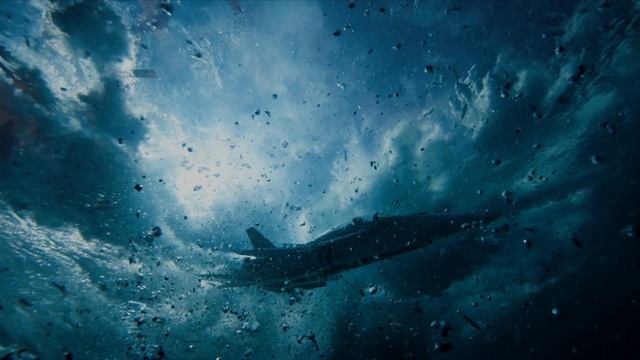 video_Атака шершней