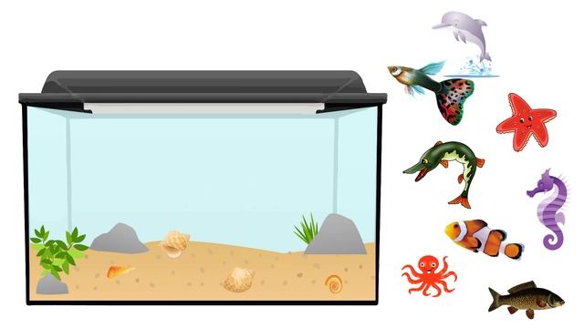 Игра "Что лишнее" для дошкольников