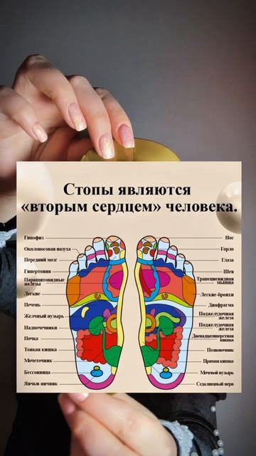 СТЕЛЬКИ коррекционные Виеда