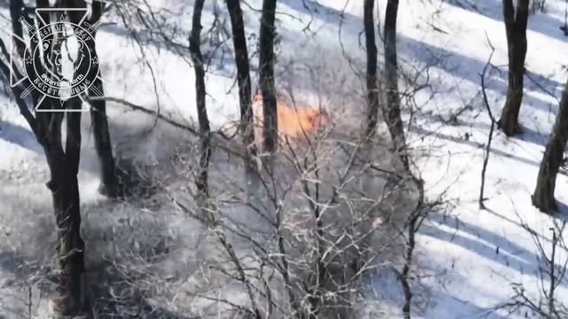ВСУ попытались незаметно просочиться в направлении нашей границы в Сумской обл.