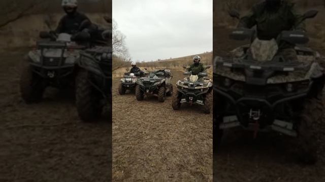 Квадросезон 2024