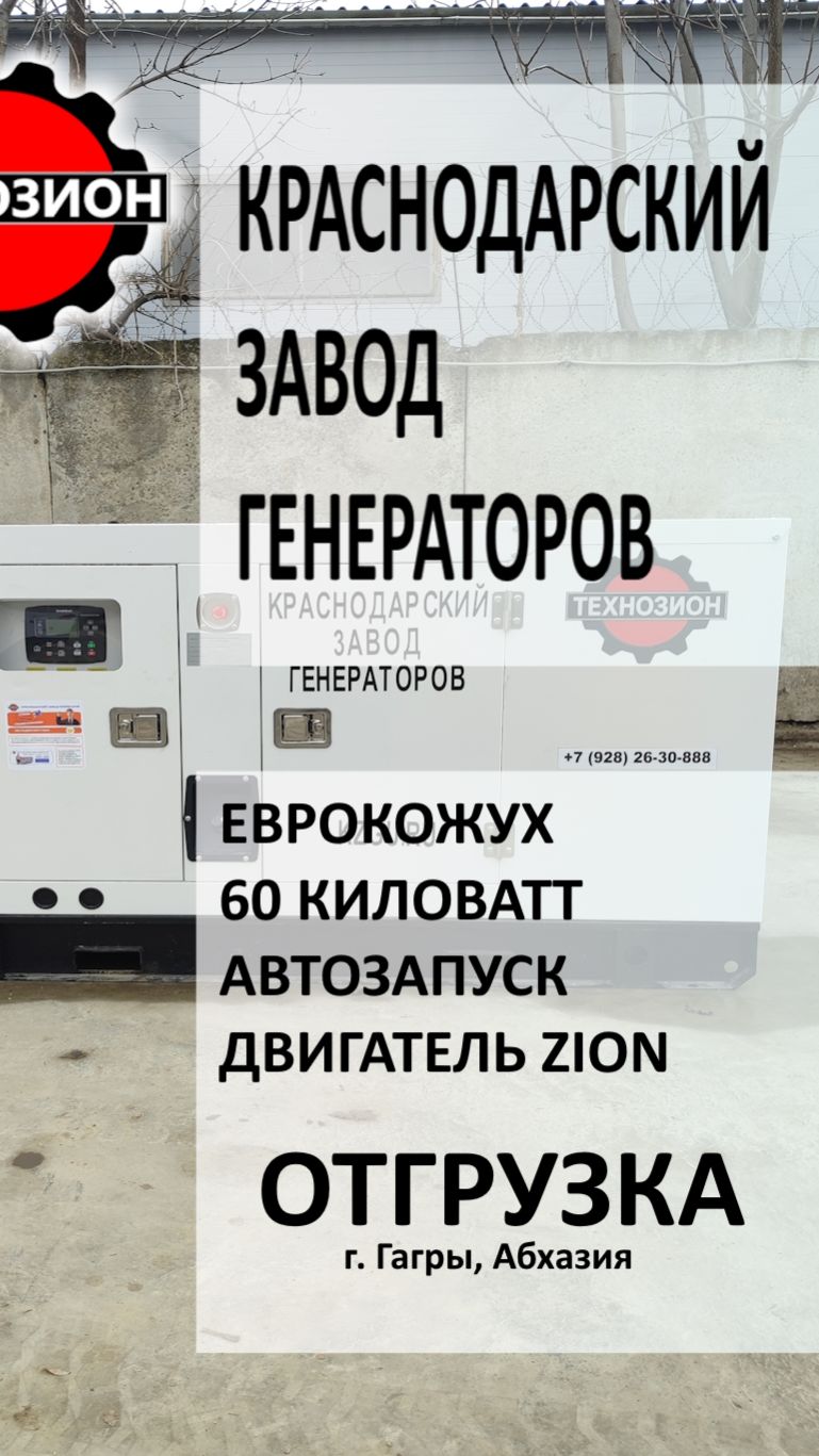 Дизельный генератор "Технозион" 60 кВт ZION  в еврокожухе с АВР для гостиницы в г. Гагры, Абхазия