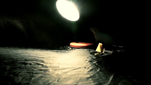 Скажи нет коррупции. Автор - Широкова Татьяна.  Сайт Генеральной прокуратуры России