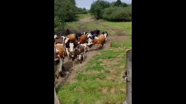 6 Перепелкина, Зайцева