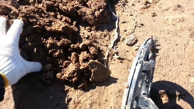 коп с minelab x terra 305