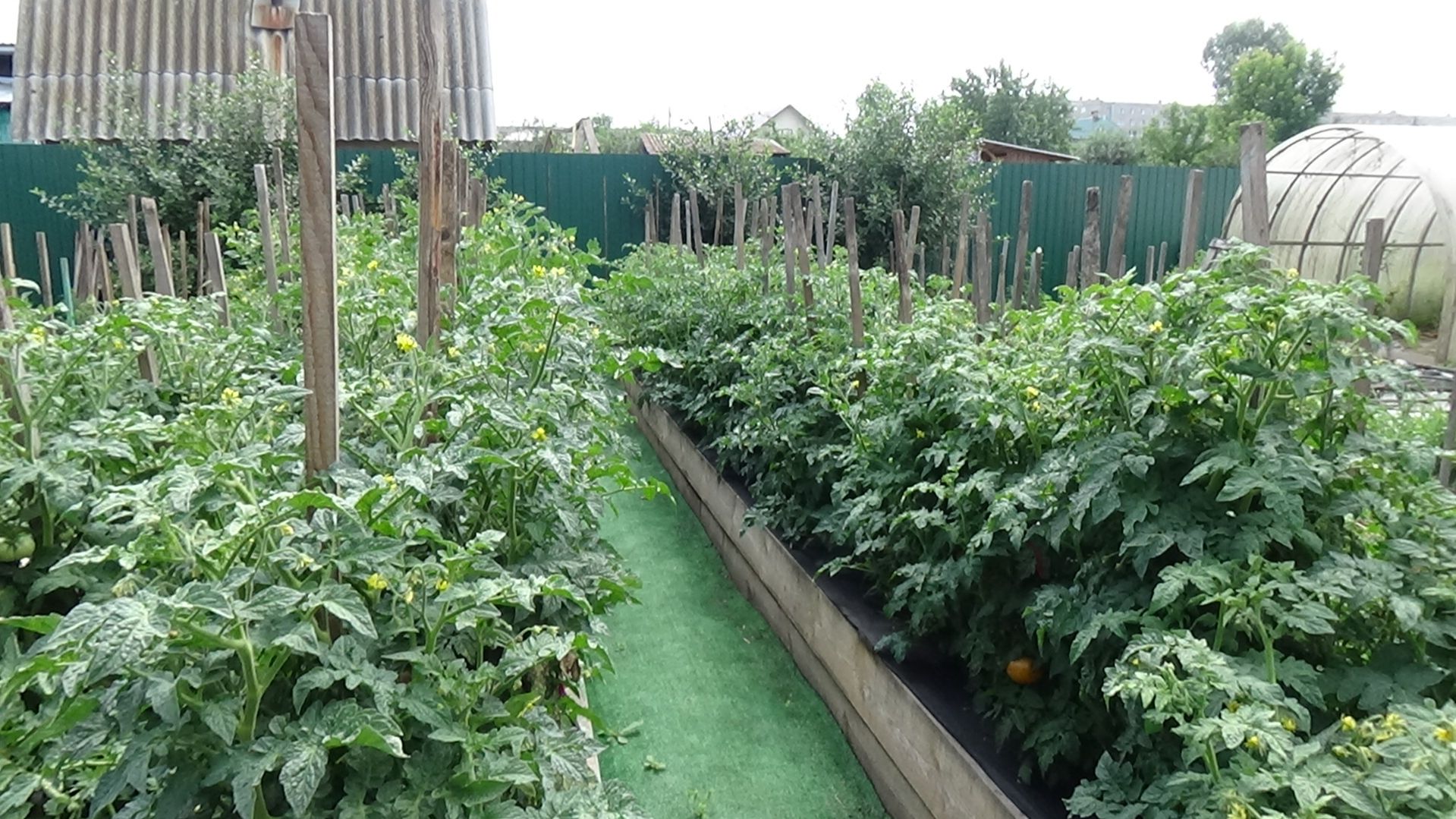 ПОСЕВЫ 2026-42. Хочу уберечь Томатных Гномов от морозов. Мои планы на будущий огородный сезон.