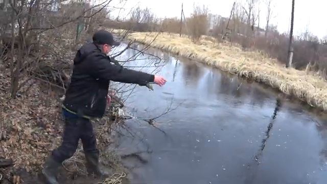 Купить магнит не прогодать! На сколько денег сдали!