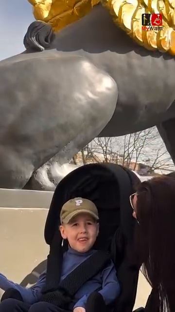 Прогулка с MyWam Mewa