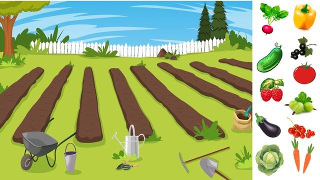 Игра "Что где растет" для дошкольников