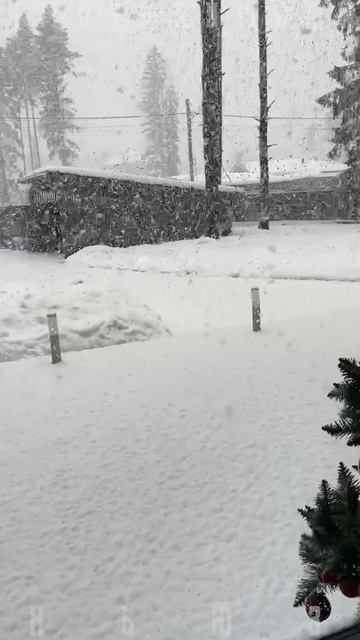 BOULEVARD DEPO ДЕЛИТСЯ ПЕРВЫМИ ВЕСЕННИМИ ДЕНЬКАМИ