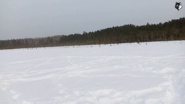 Окунь на мормышку