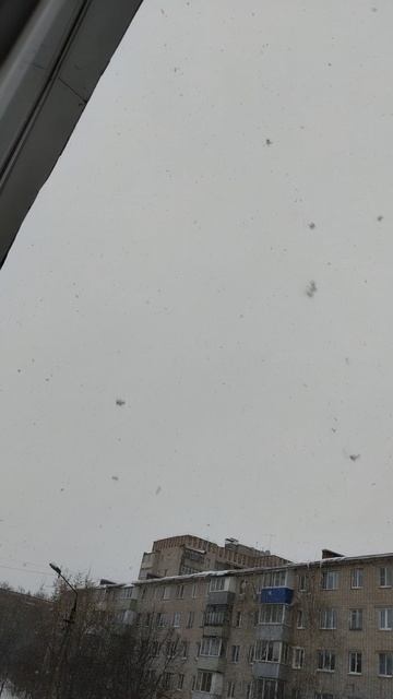 PXL_20260304_150709065