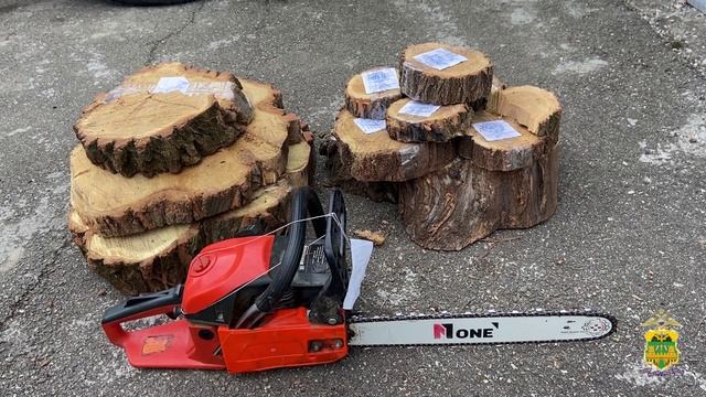 В Отрадненском районе местный житель пойдет под суд за незаконную рубку деревьев