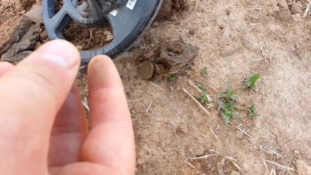 Коп с металлоискателем minelab x-terra 305 ч.3