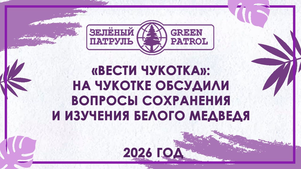 «Вести Чукотка»: На Чукотке обсудили вопросы сохранения и изучения белого медведя