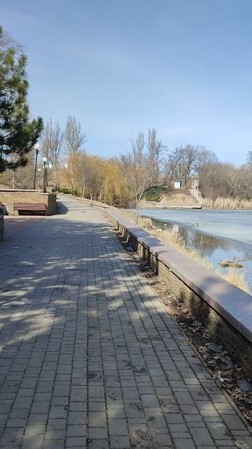 4 щербакова утки на первом городском пруду