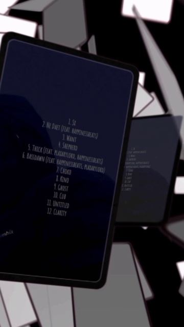 tracklist +snippet (album 13.03)