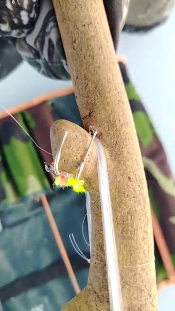 Корюшка на блесны  Ариана, Богдановская от Mr.Musurok 🔥