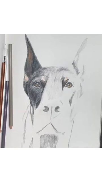 Как нарисовать супер рисунок карандашами