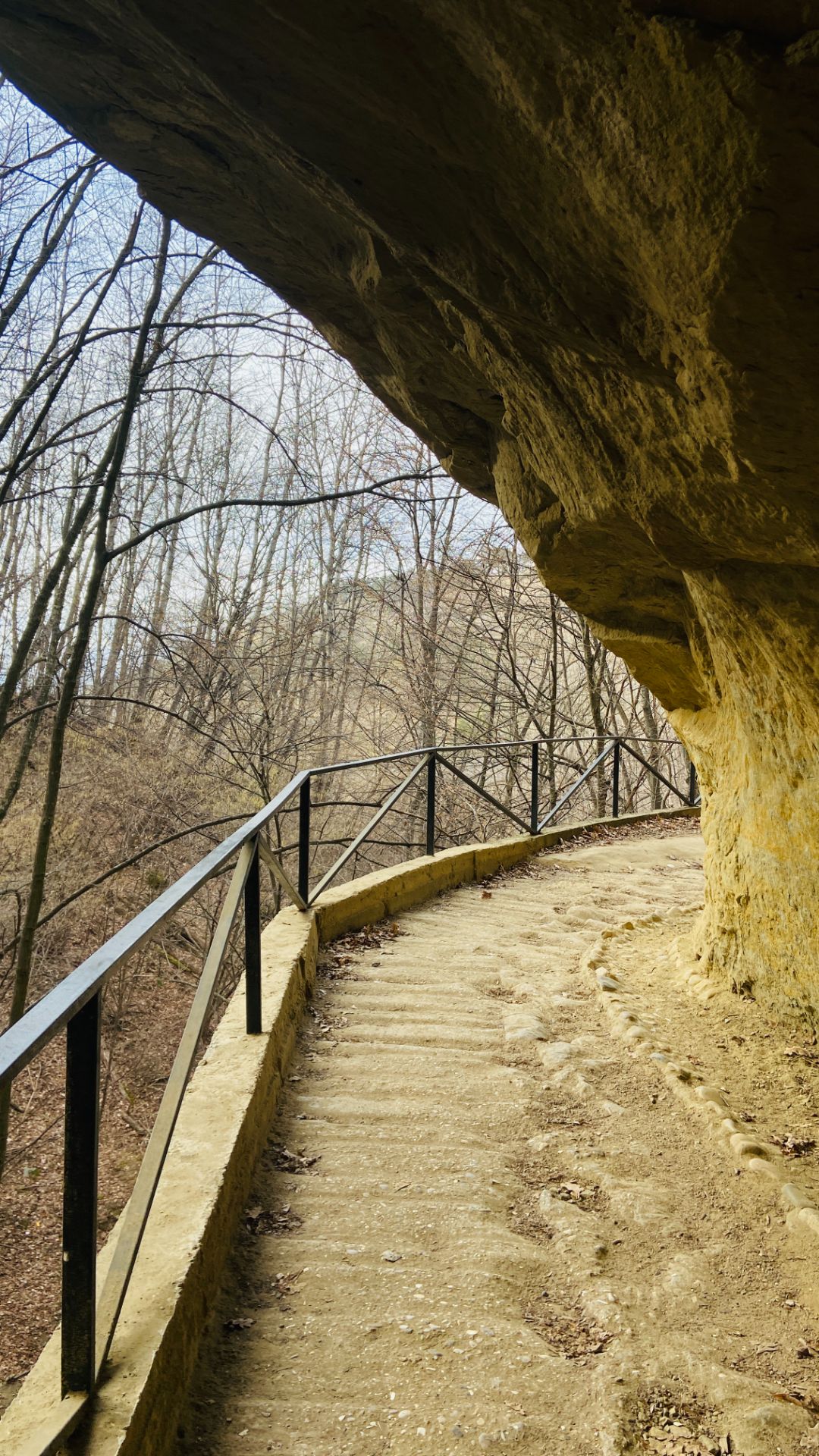 Тропа Косыгина в Кисловодске