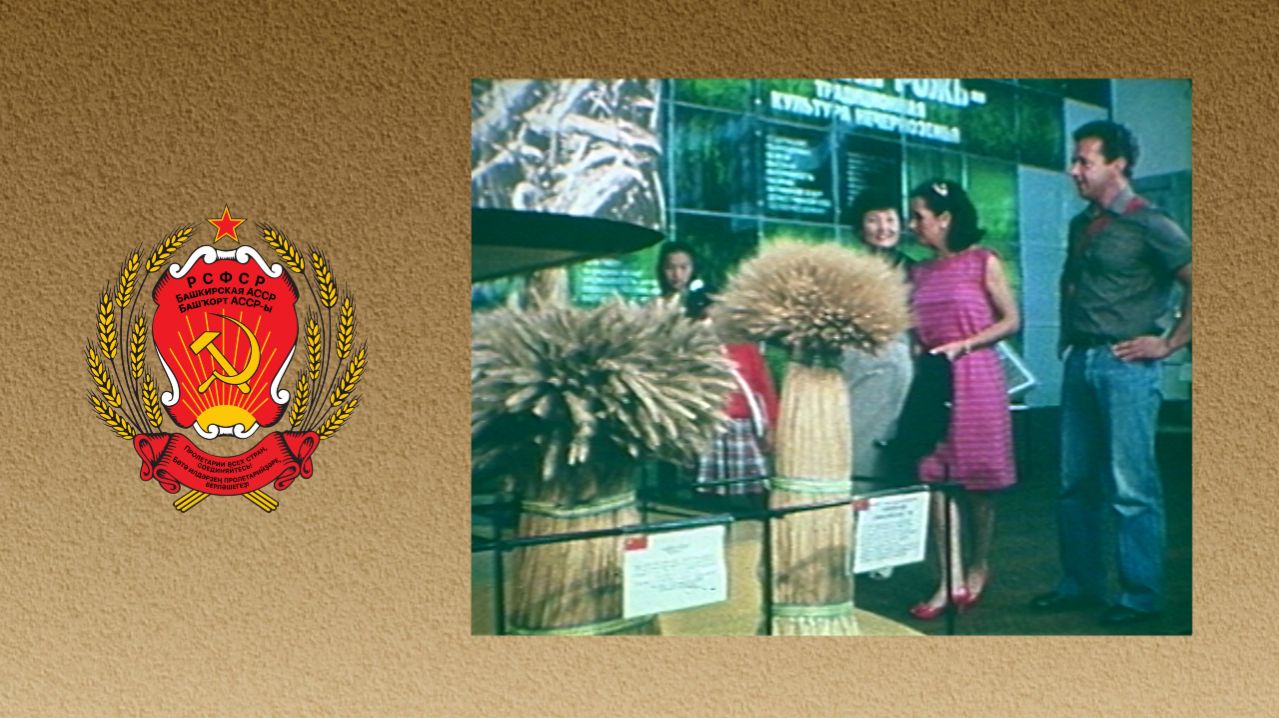Советская Башкирия. Озимая рожь сорта Чулпан на ВДНХ в Москве (1980-е)