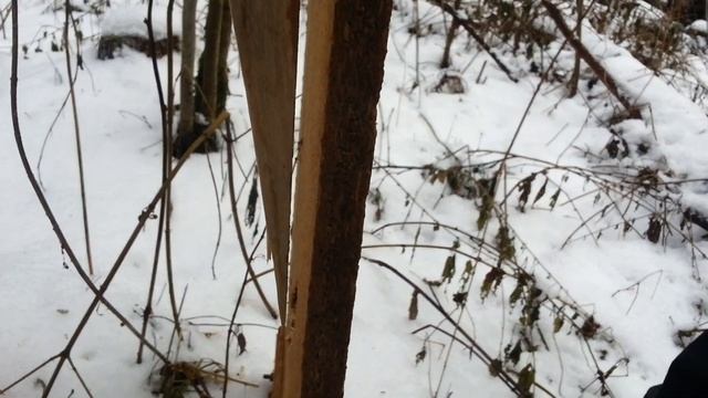 Травматические пистолеты стример и мр 80-13т