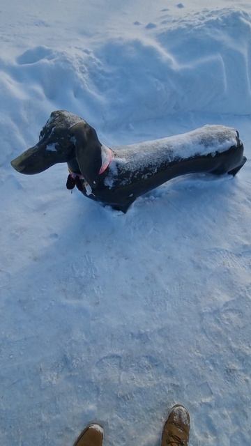 Жанровая скульптура такса в Иваново