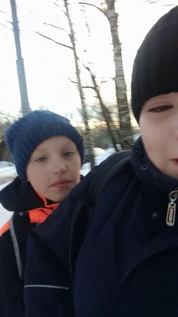 Врезплся в дерево как дебил