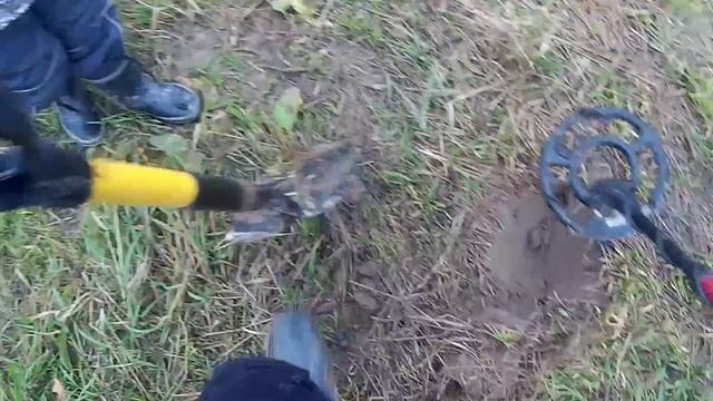 Коп с минелаб x terra 305