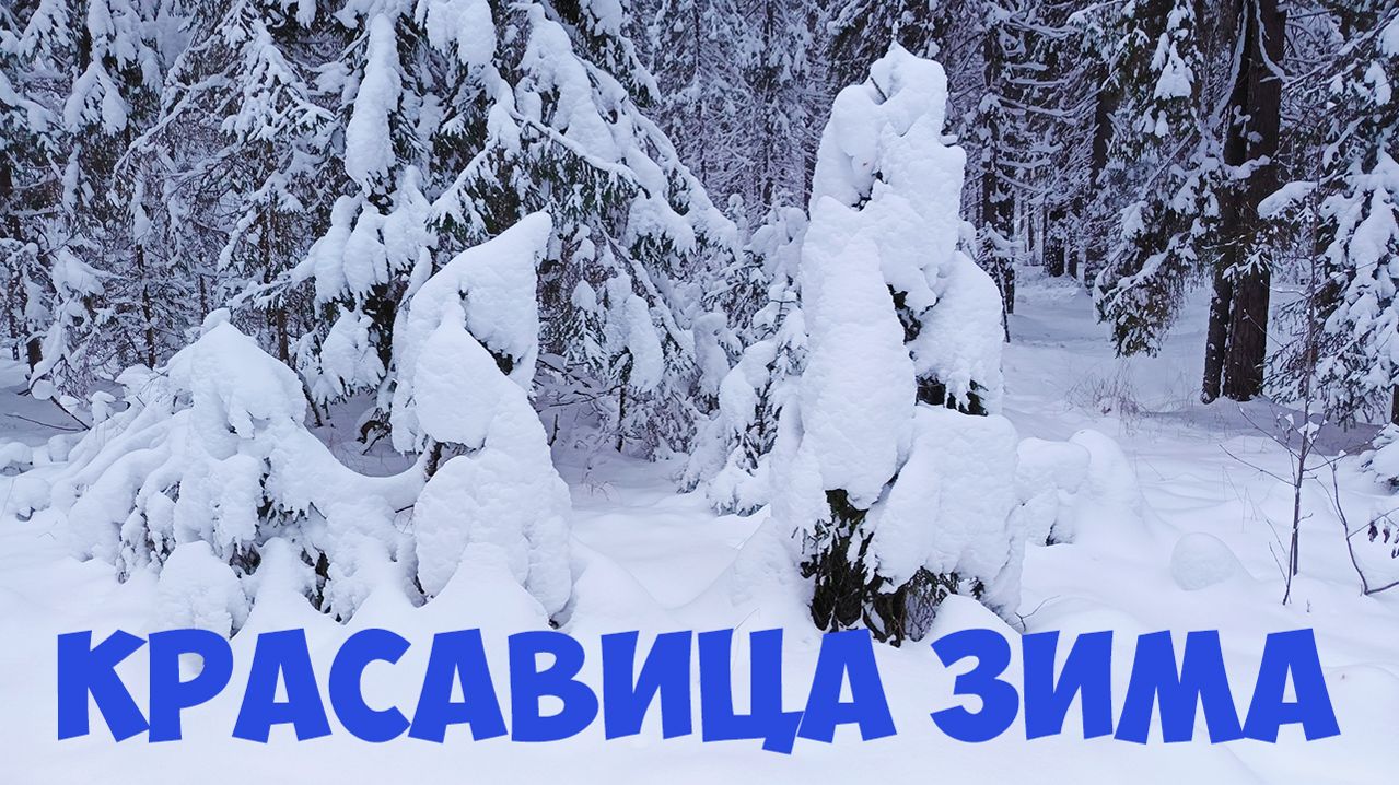Красавица зима